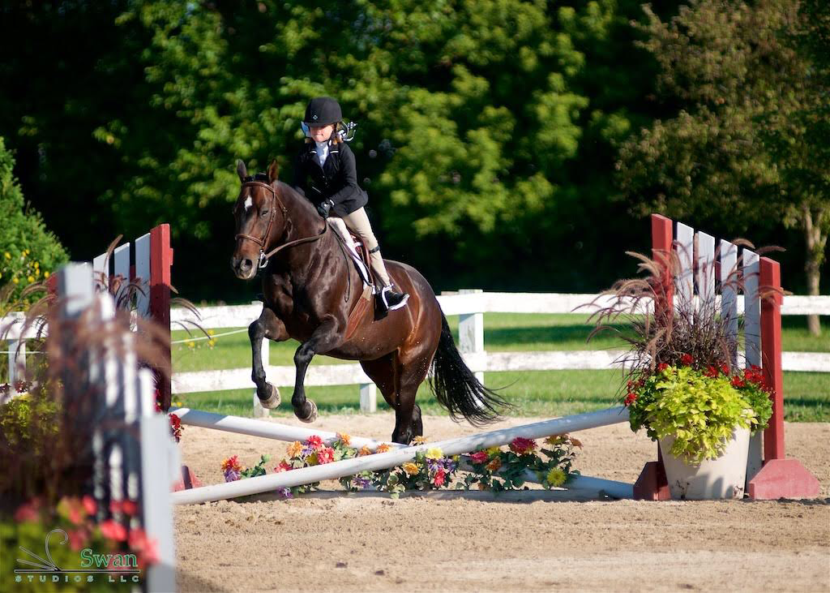 Photo Album – Northern Illinois Hunter Jumper Association