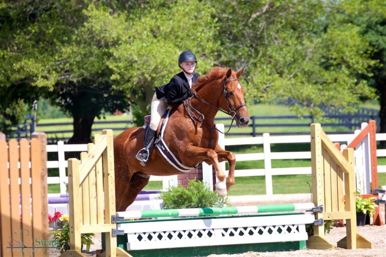 Photo Album – Northern Illinois Hunter Jumper Association